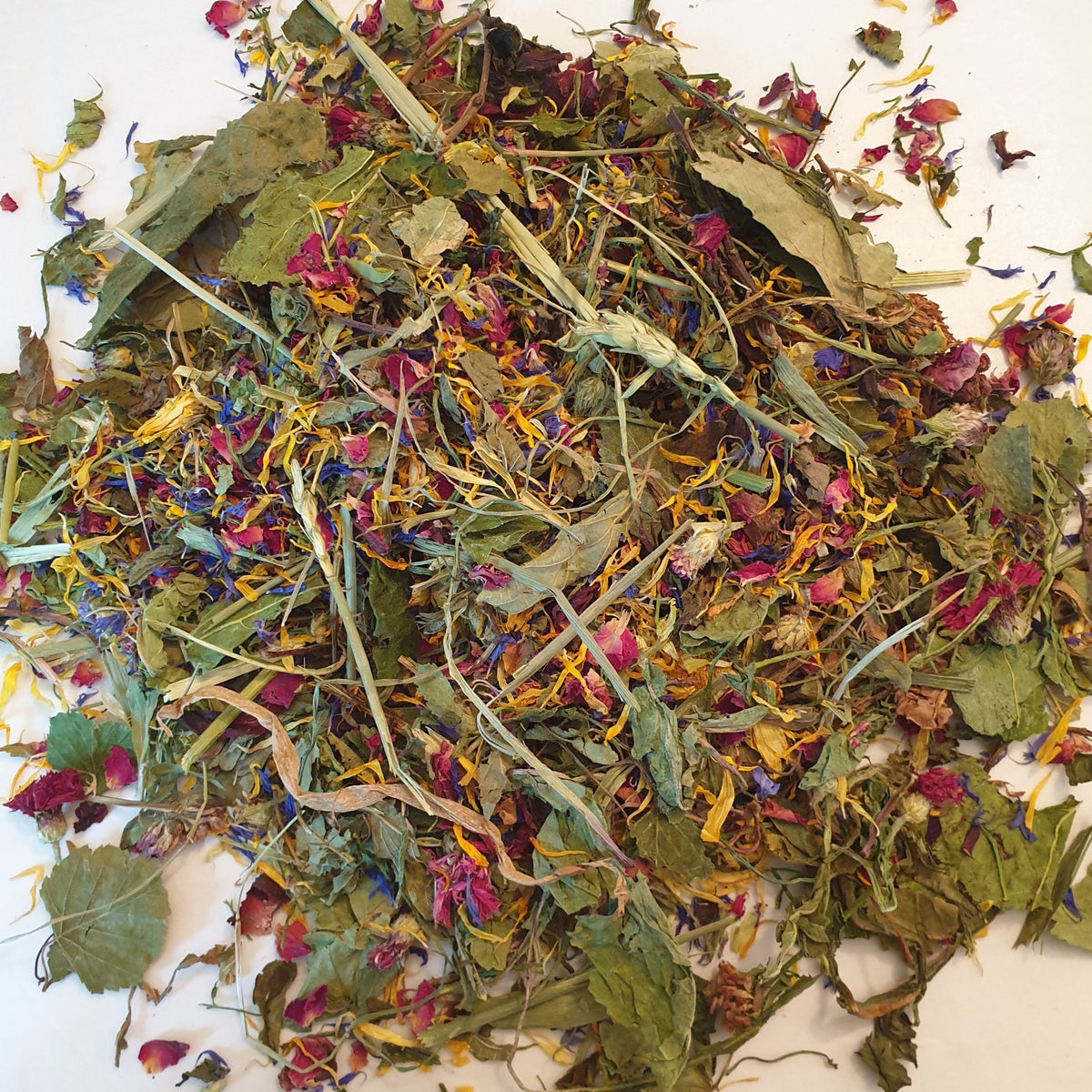 Premium small animal forage – Bear's Hamsters